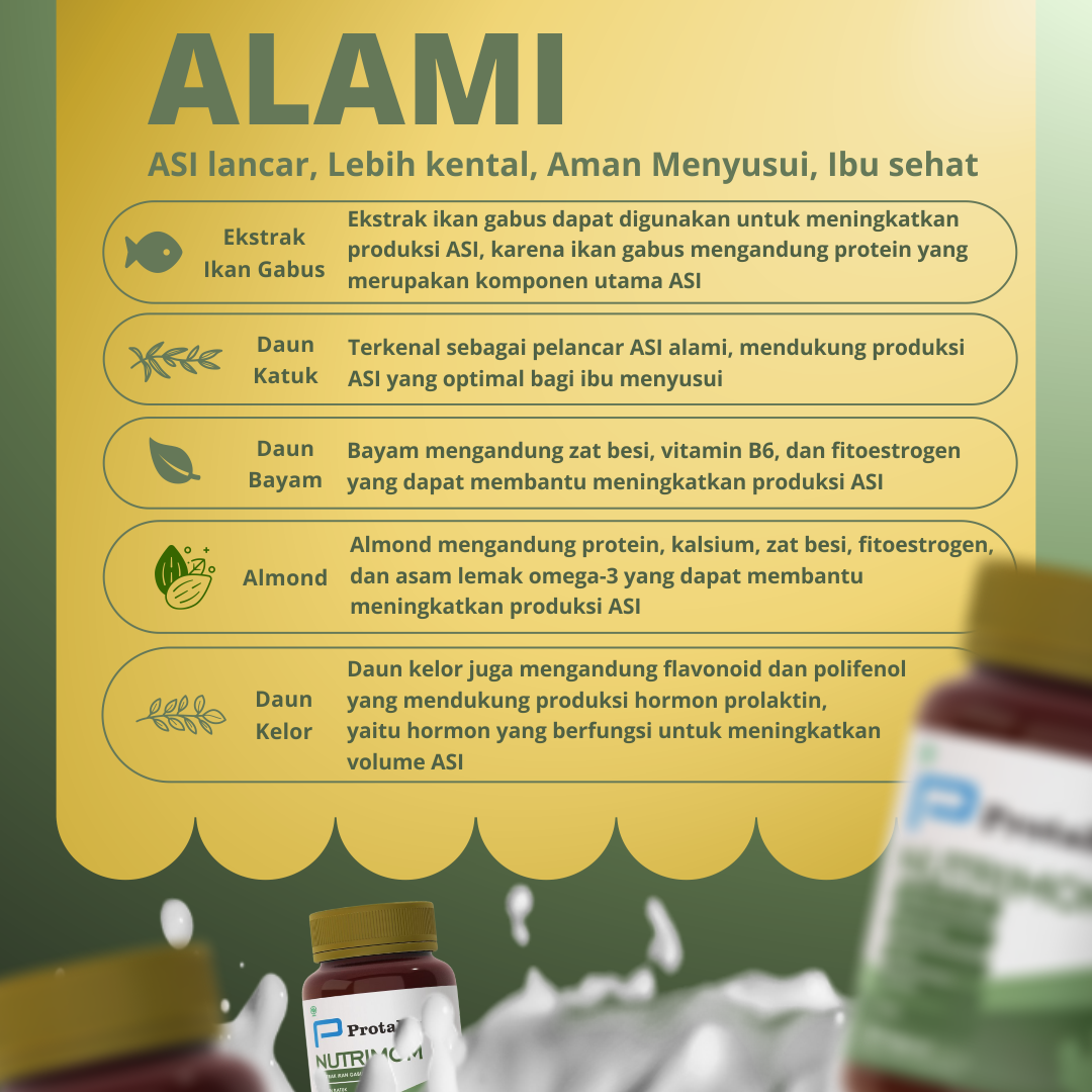 Nutrimom Anak Sapi Putih